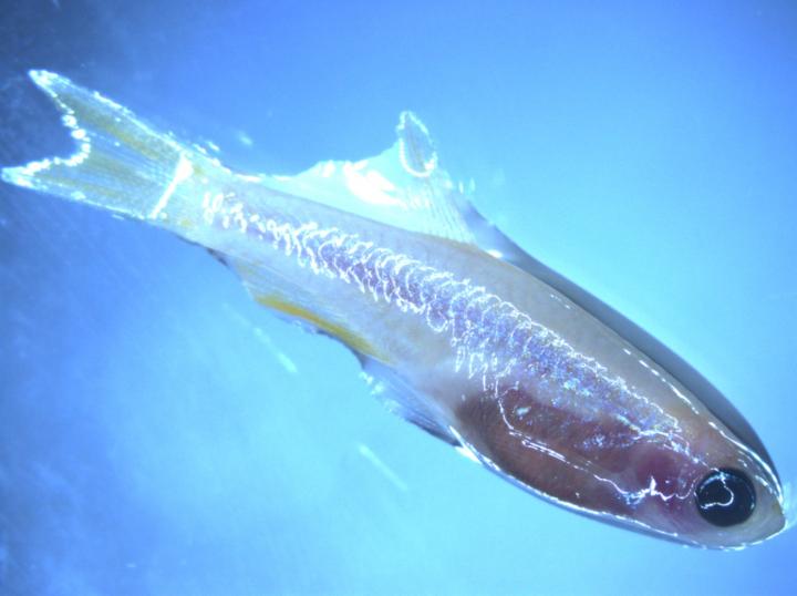 Gallery | The University of Edinburgh