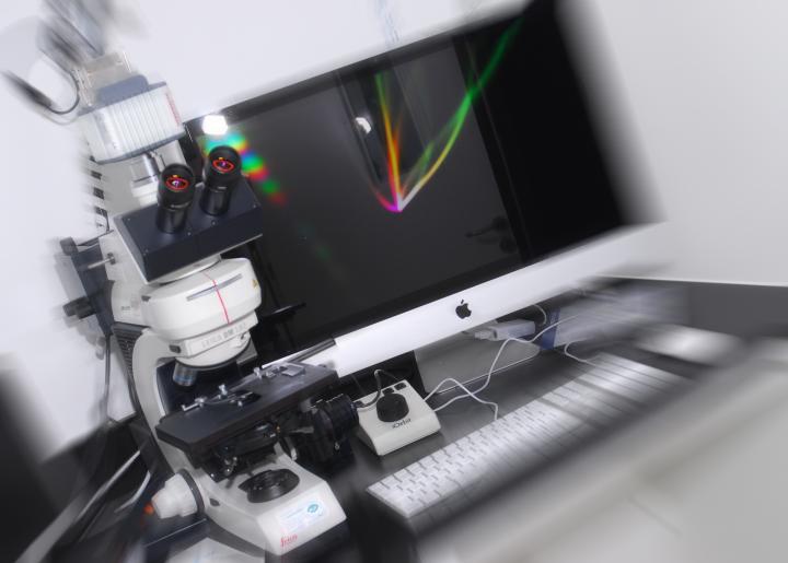 Fluorescence Microscopy | The University of Edinburgh