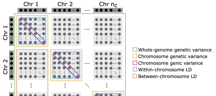 Temporal and genomic analysis of additive genetic variance | The ...